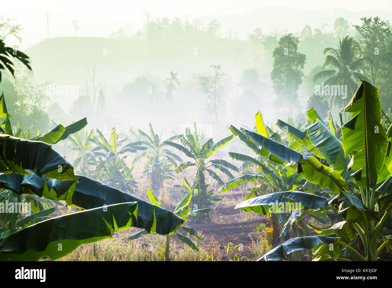 Rural landscapes in Northern Thailand Stock Photo - Alamy