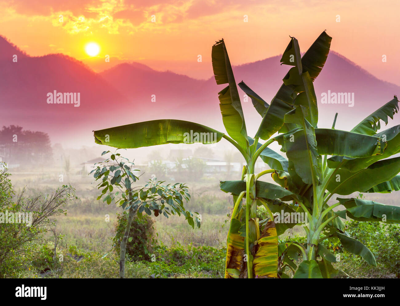 Rural landscapes in Northern Thailand Stock Photo - Alamy