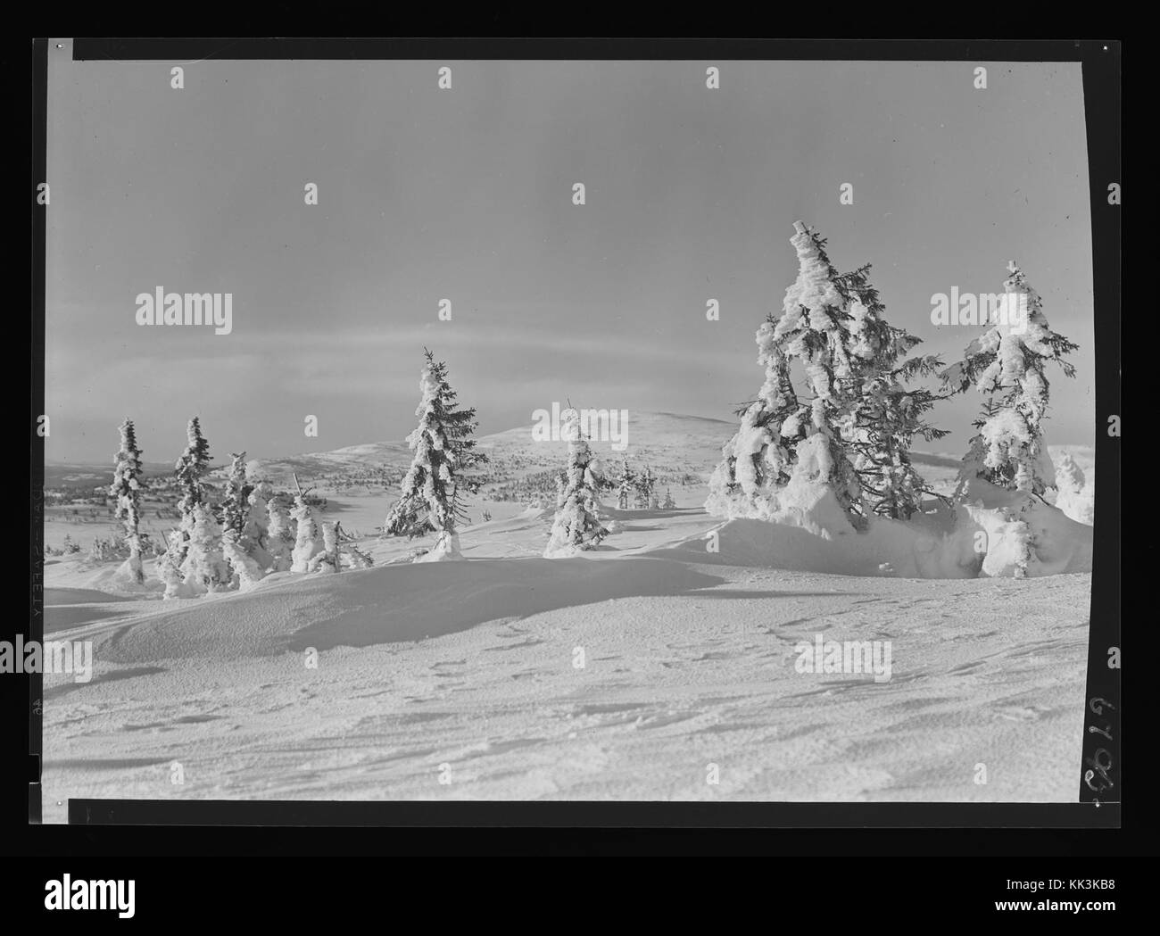 Digital art in two Black and White Stock Photos & Images - Alamy