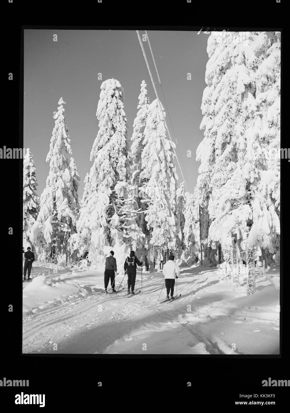 Oslo nordmarka forest hi-res stock photography and images - Alamy