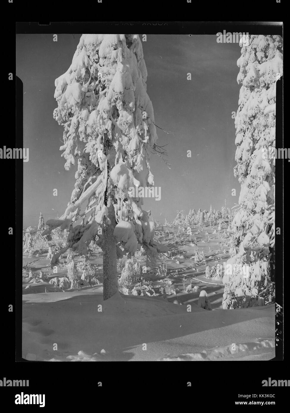 During colder winter months Black and White Stock Photos & Images - Alamy