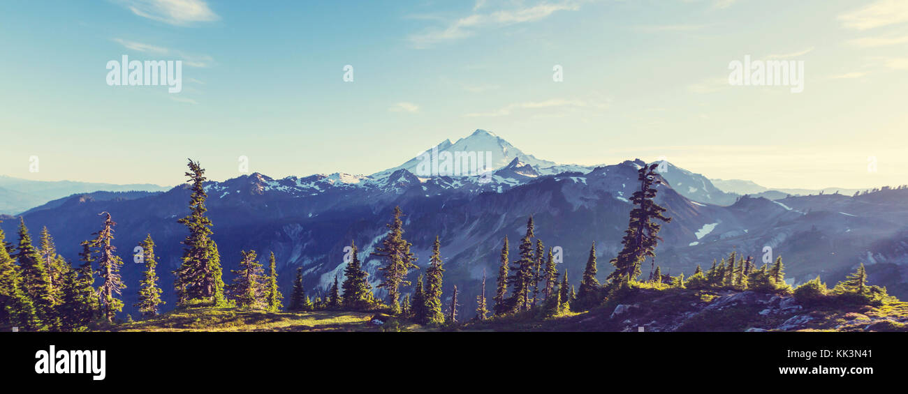 Mt. Baker recreation area, Washington, USA Stock Photo - Alamy