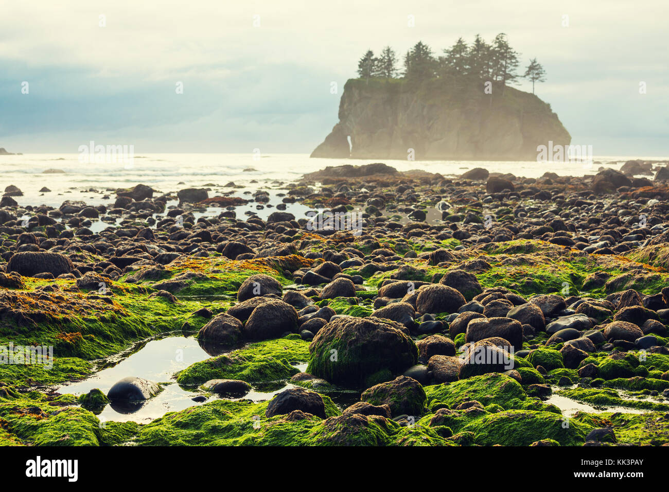 Olympic National Park landscapes Stock Photo - Alamy