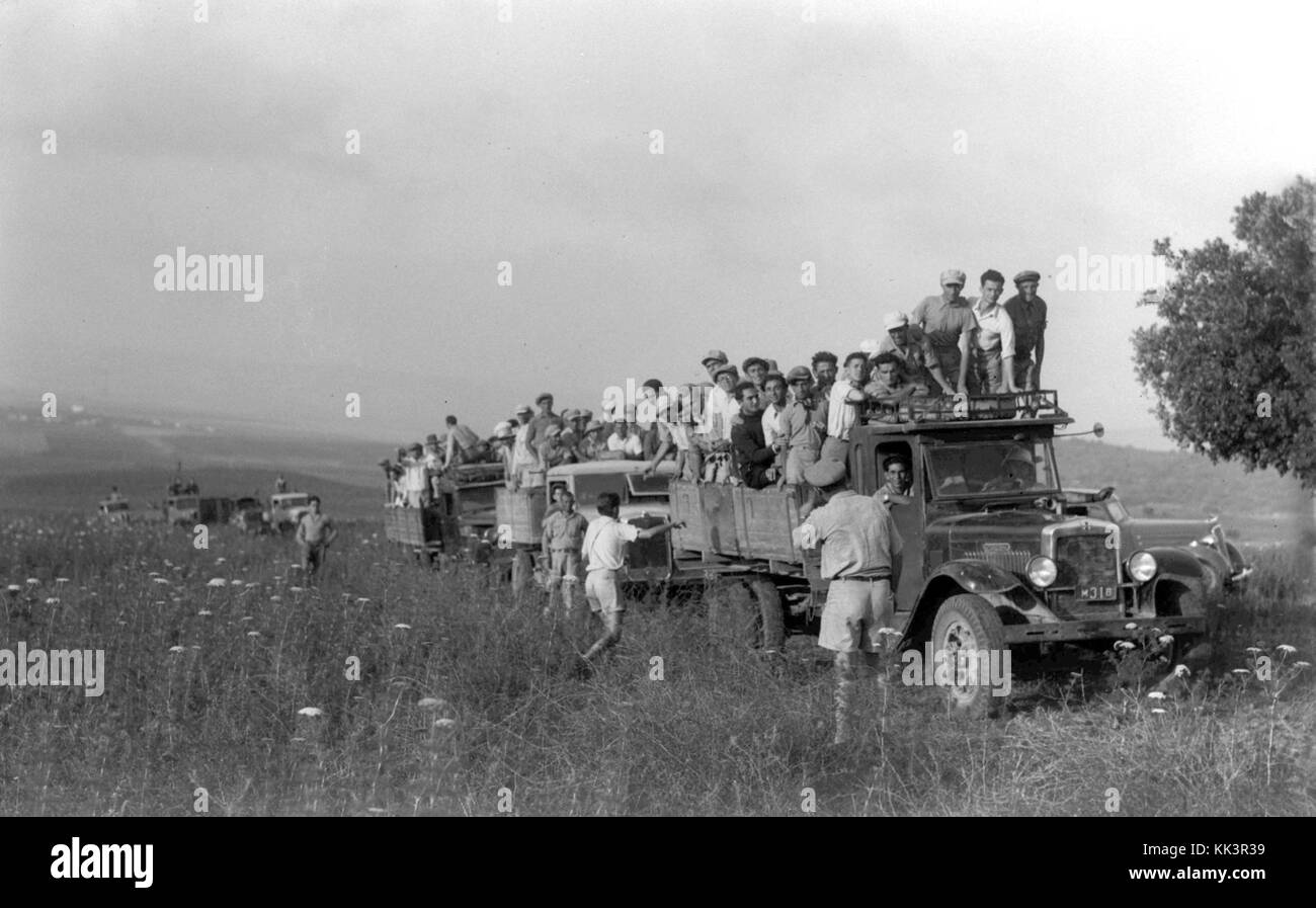 ALONIM 1938 3 Stock Photo - Alamy