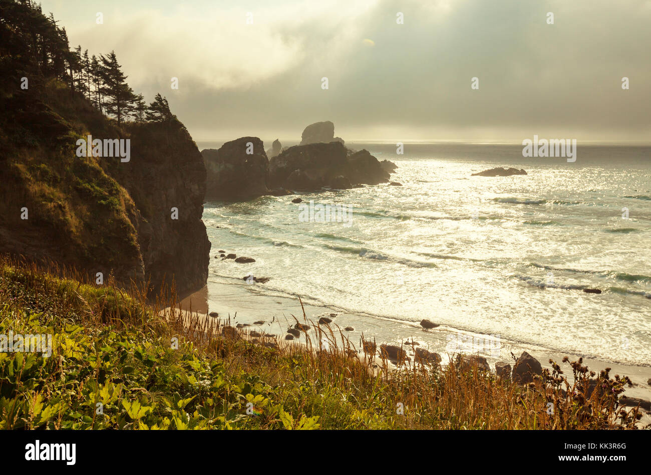 Ocean coast in Olympic National Park, Washington Stock Photo - Alamy