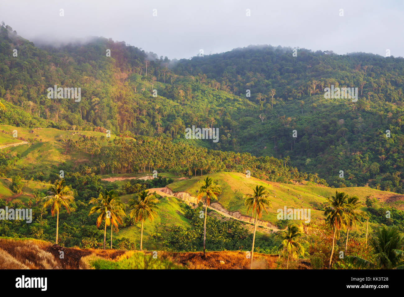 Rural tropical landscapes in Palawan island, Philippines Stock Photo ...
