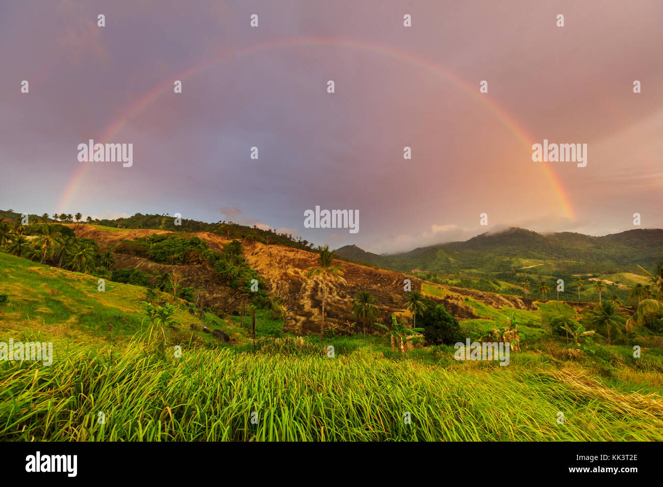 Rural tropical landscapes in Palawan island, Philippines Stock Photo ...