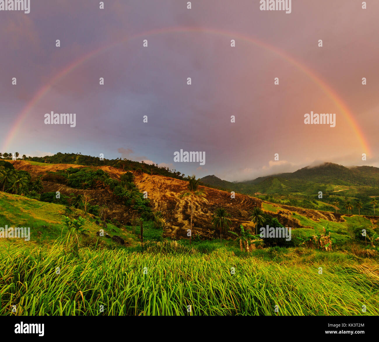 Rural tropical landscapes in Palawan island, Philippines Stock Photo ...