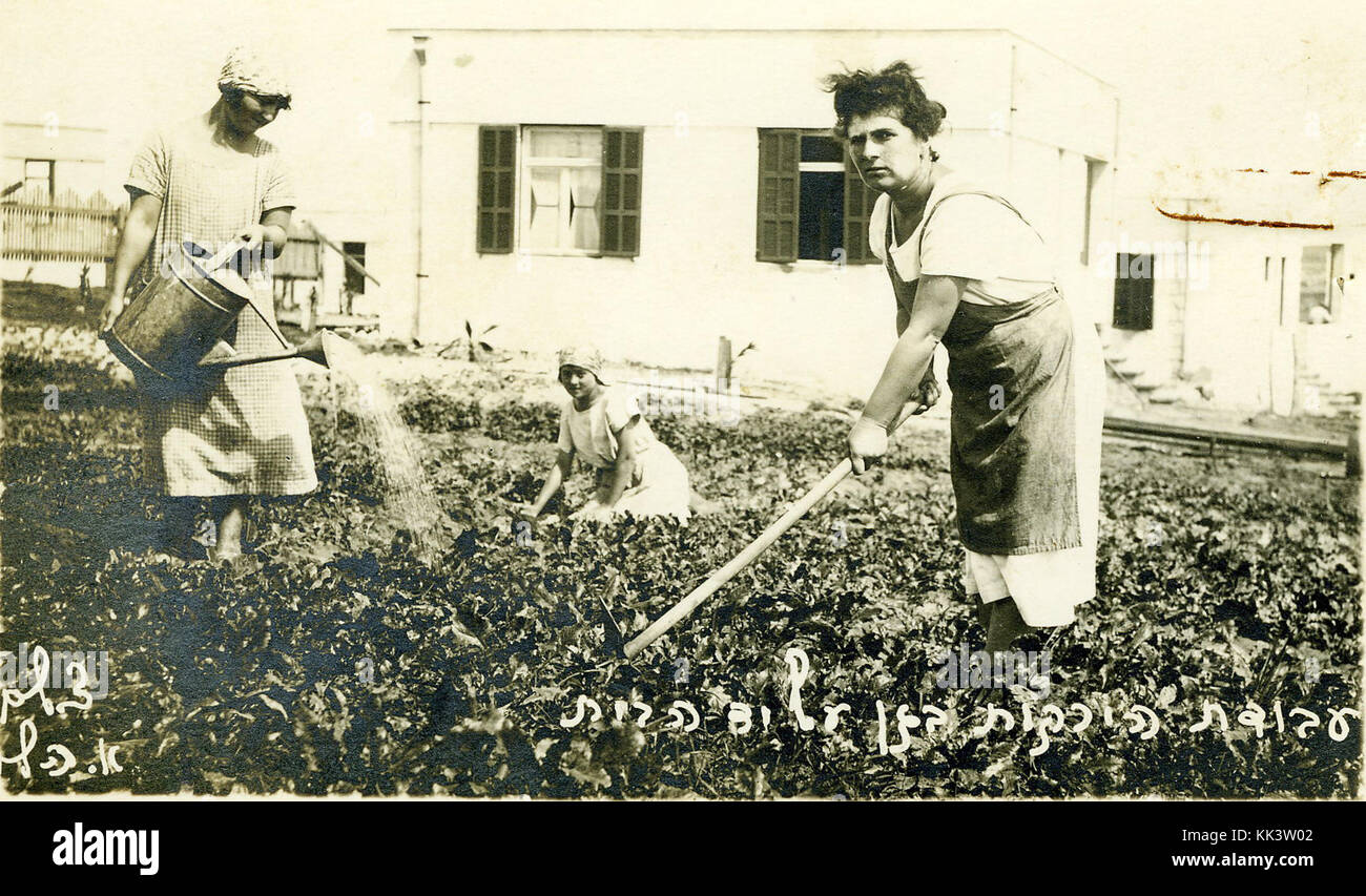 Israel 6467 Growing vegetables by the house Stock Photo - Alamy