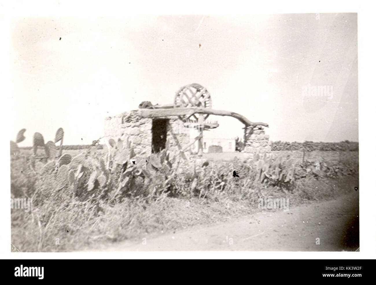 Eco friendly practices in Cut Out Stock Images & Pictures - Alamy