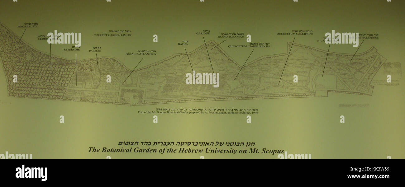 Har Hatsofim IMG 7722 Stock Photo - Alamy