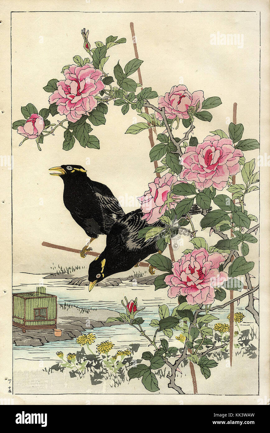 Kono Kacho 1 Stock Photo - Alamy