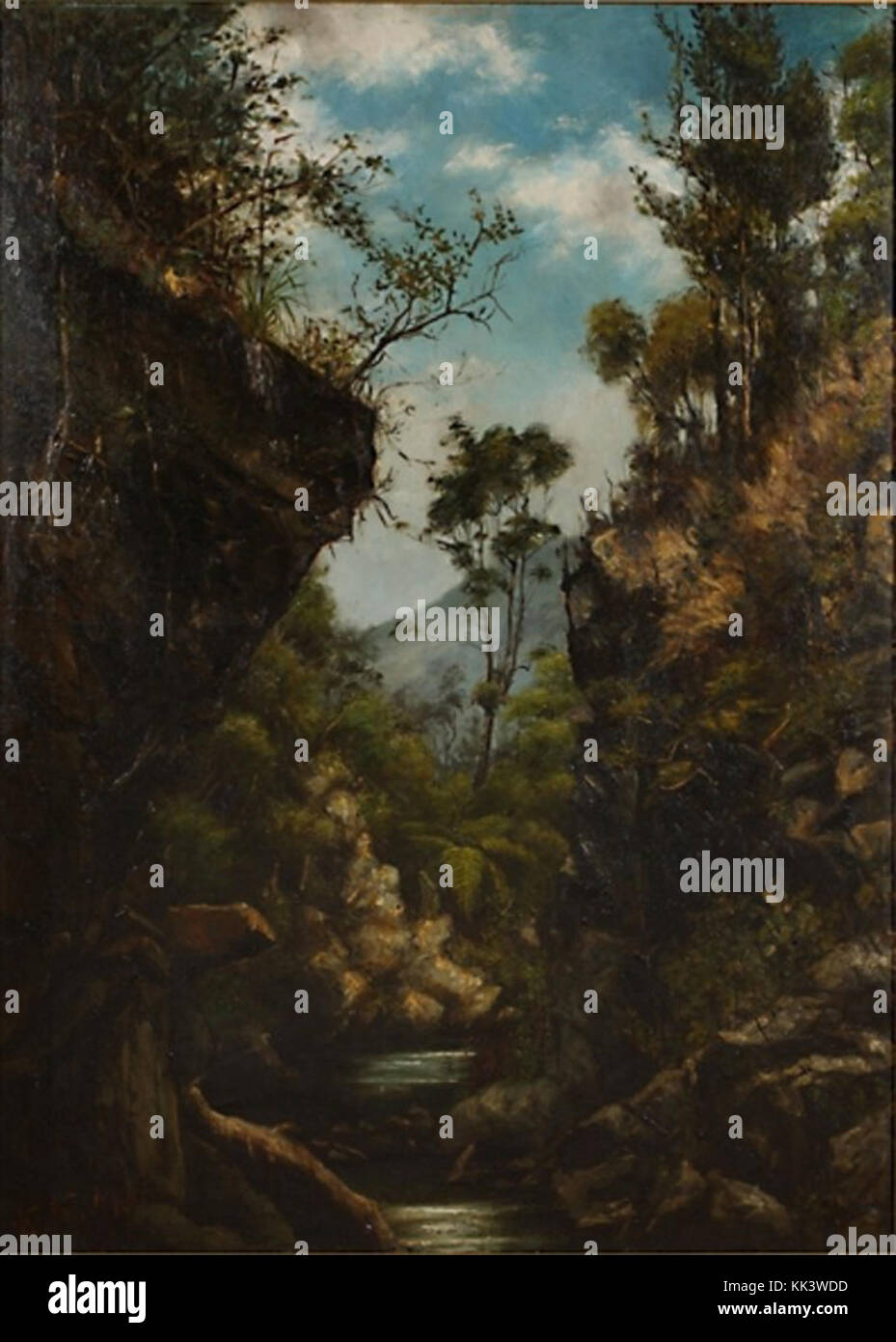 Bushstream Wainuiomata Sperry nz landscape Stock Photo - Alamy