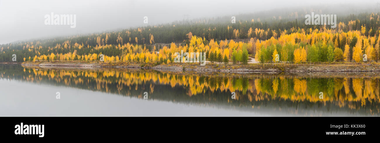 Autumn landscape in panorama, trees reflecting in the water of Lule ...