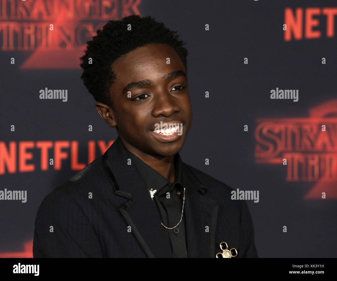 Celebrities attend Netflix's Stranger Things 2 Premiere at Westwood Village Theater. Featuring ...