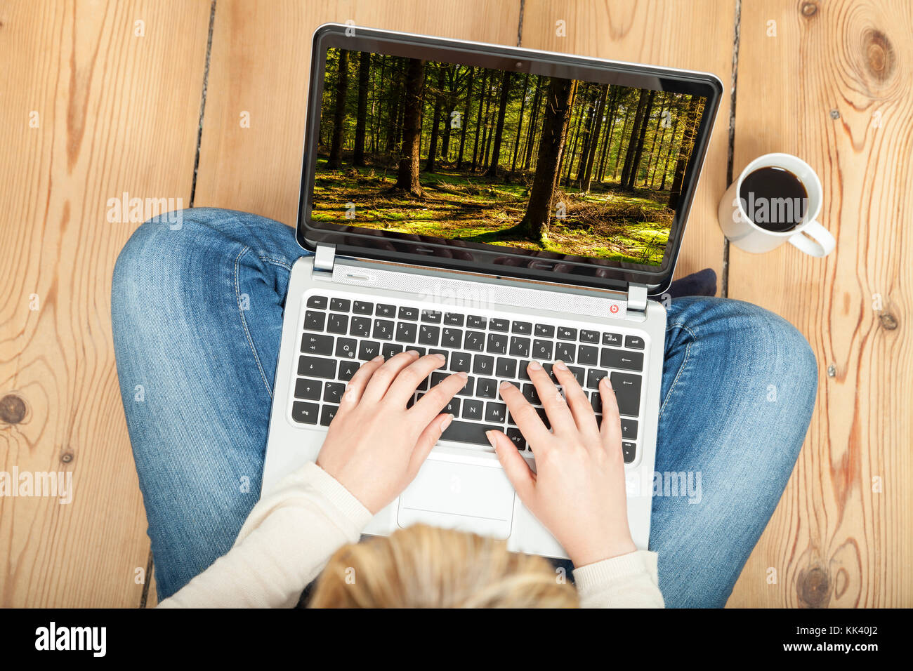 Forest on laptop Stock Photo - Alamy