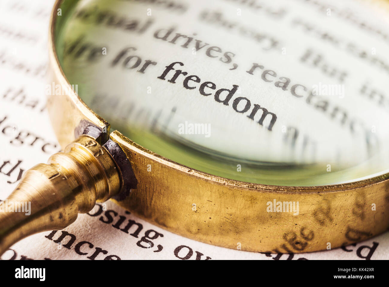 Close-up of the word freedom emphasized with an old and golden ...