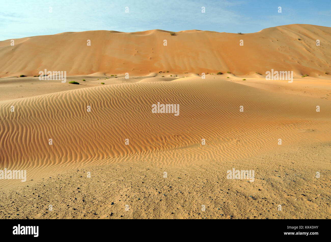 Wind-formed patterns in this collection of sand in the Arabian Desert ...