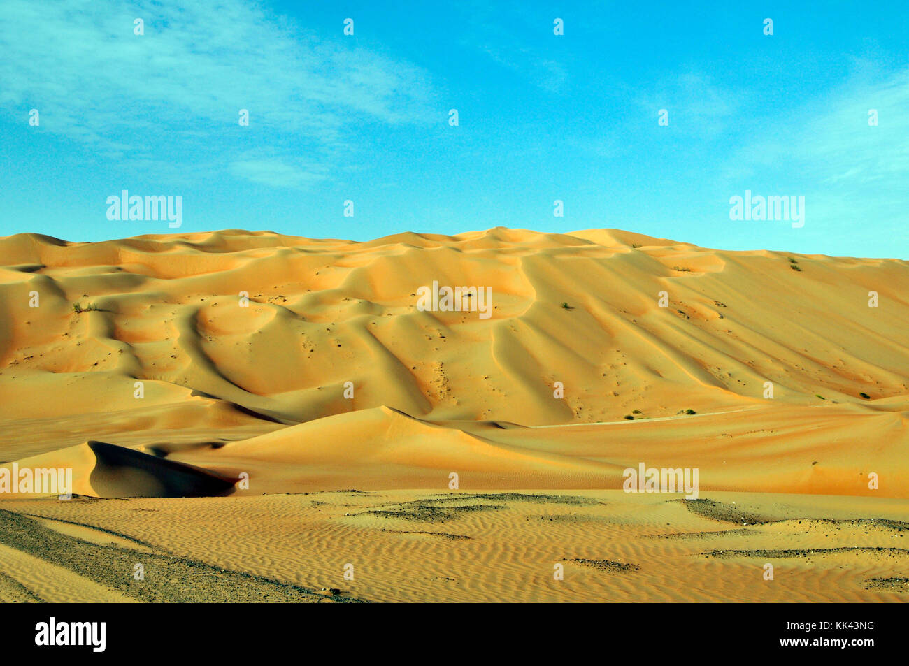 Wind-formed patterns in this collection of sand in the Arabian Desert ...