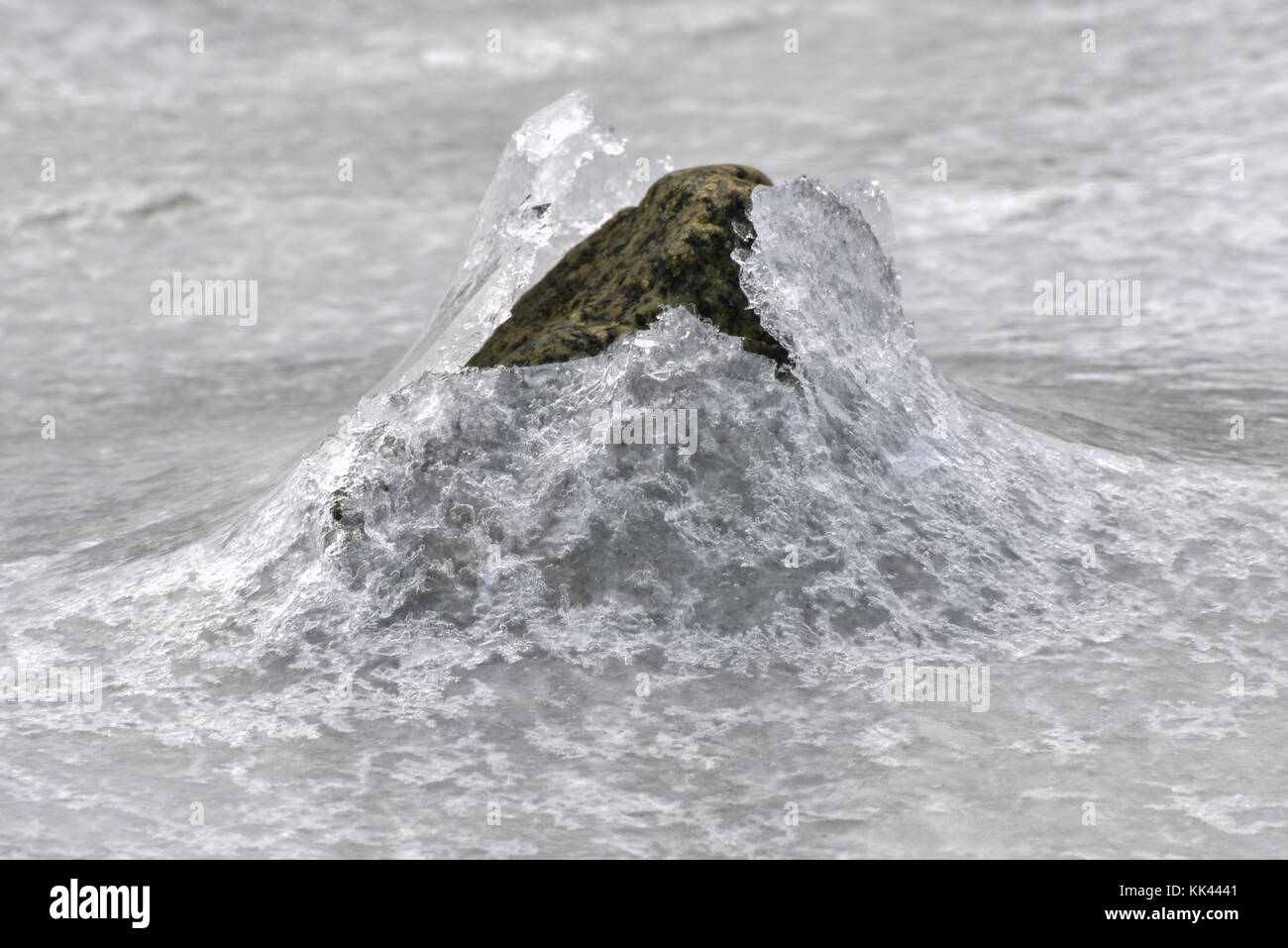 Rock cracking through the ice in Vagspollen in the Lofoten Islands ...
