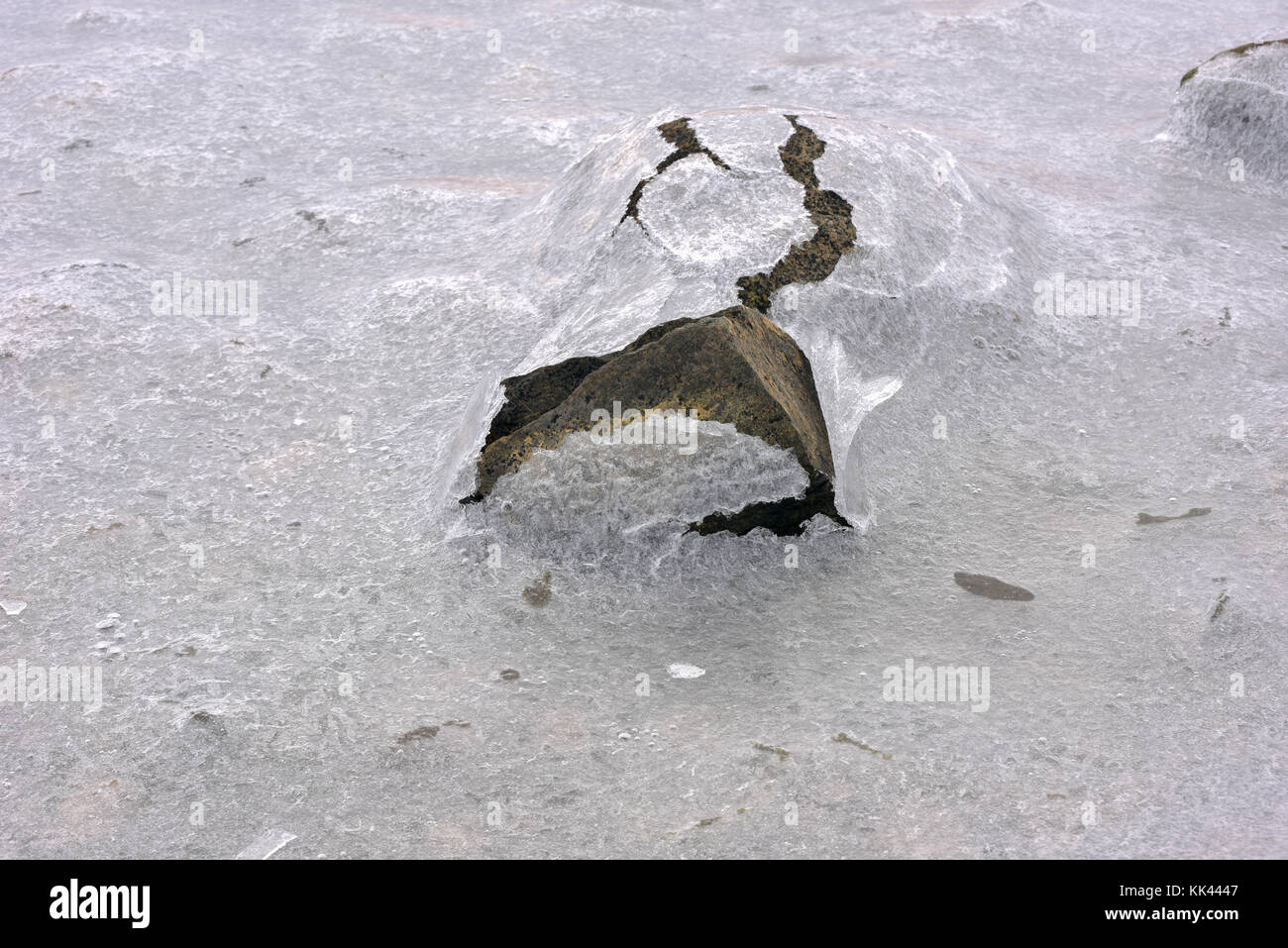 Rock cracking through the ice in Vagspollen in the Lofoten Islands ...