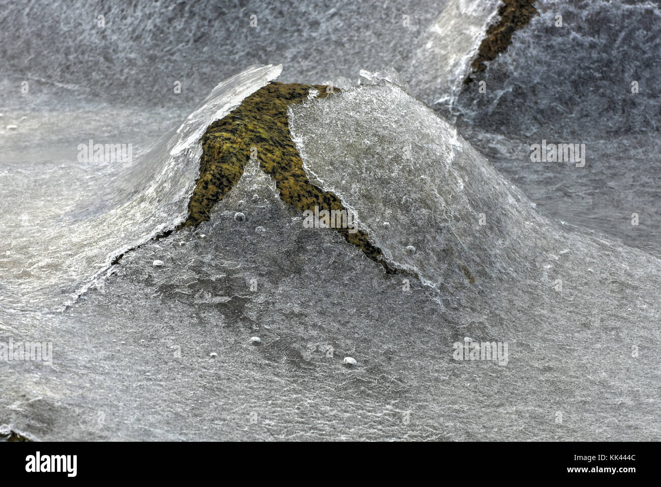 Rock cracking through the ice in Vagspollen in the Lofoten Islands ...