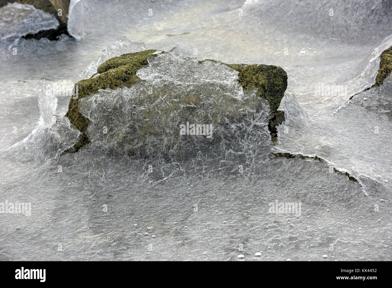Rock cracking through the ice in Vagspollen in the Lofoten Islands ...