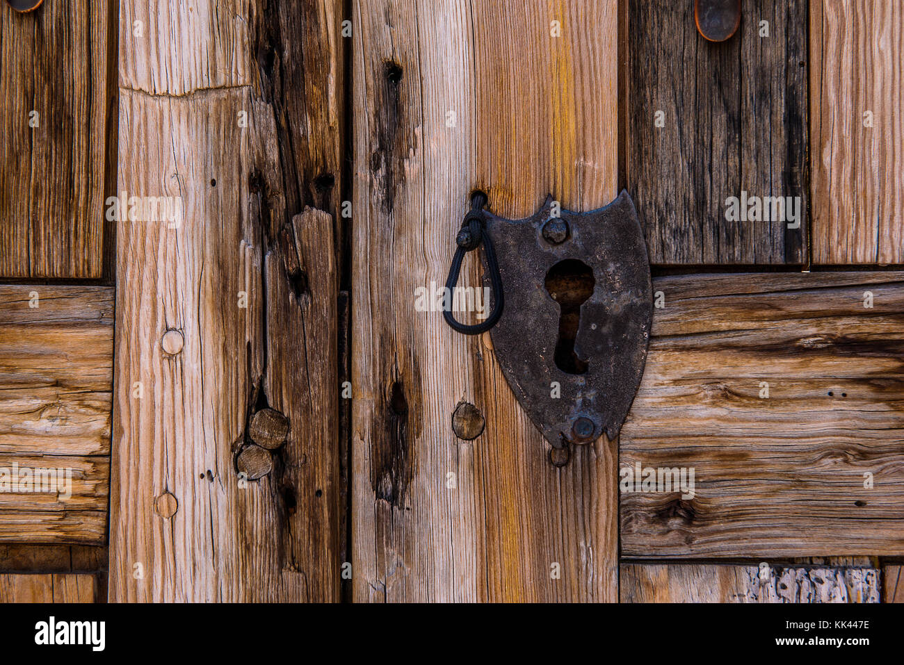 Elf owl bird hi-res stock photography and images - Alamy