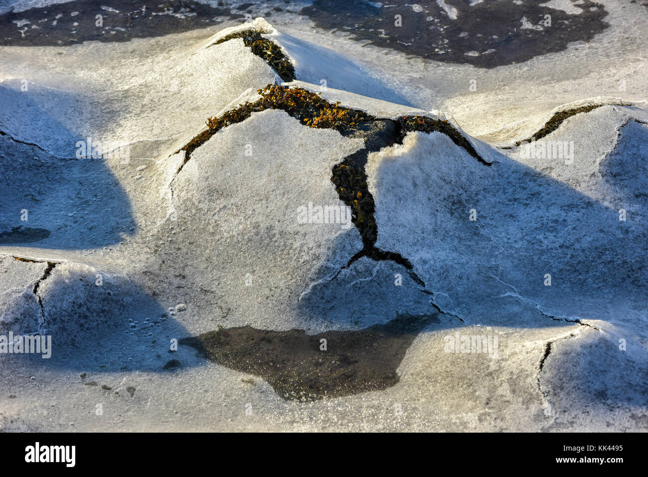 Rock cracking through the ice in Boosen in the Lofoten Islands, Norway ...