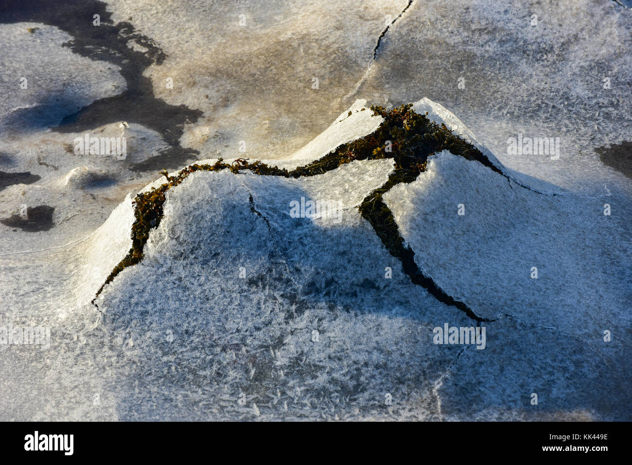 Rock cracking through the ice in Boosen in the Lofoten Islands, Norway ...