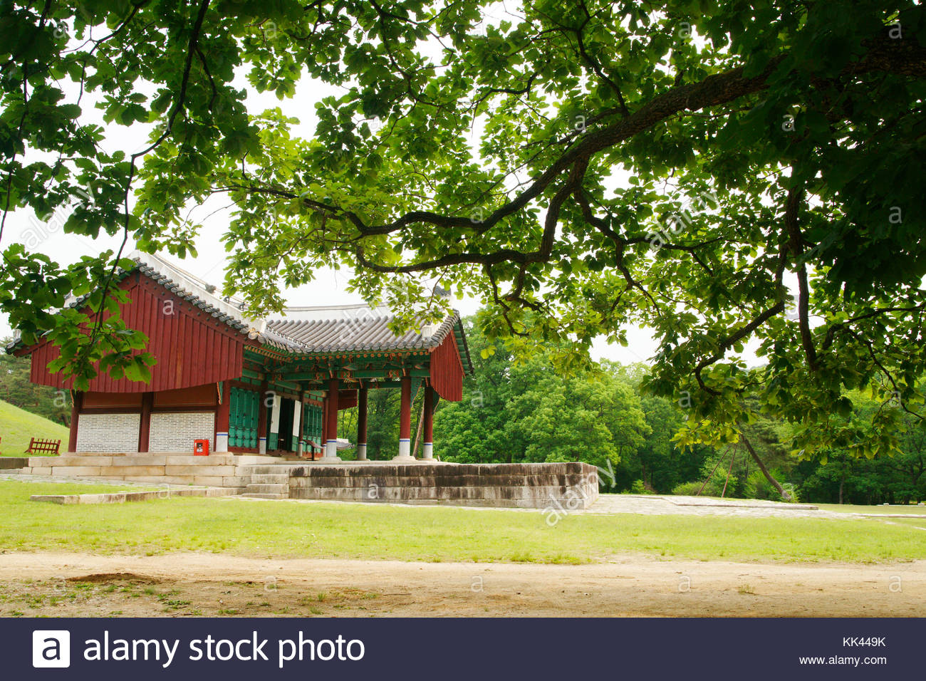 Korean Oak Stock Photos & Korean Oak Stock Images - Alamy