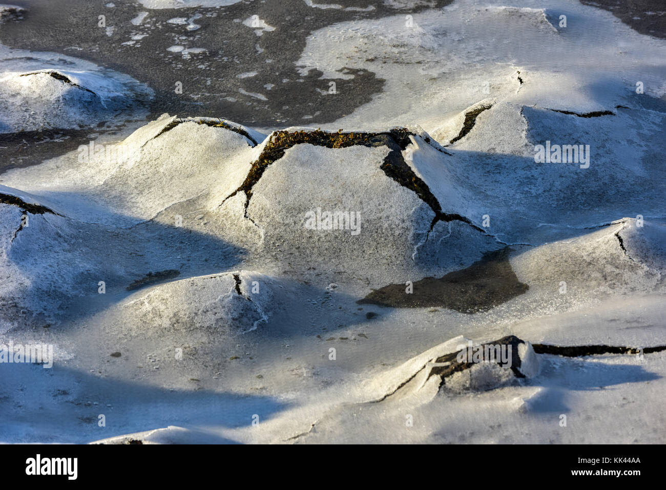 Rock cracking through the ice in Boosen in the Lofoten Islands, Norway ...