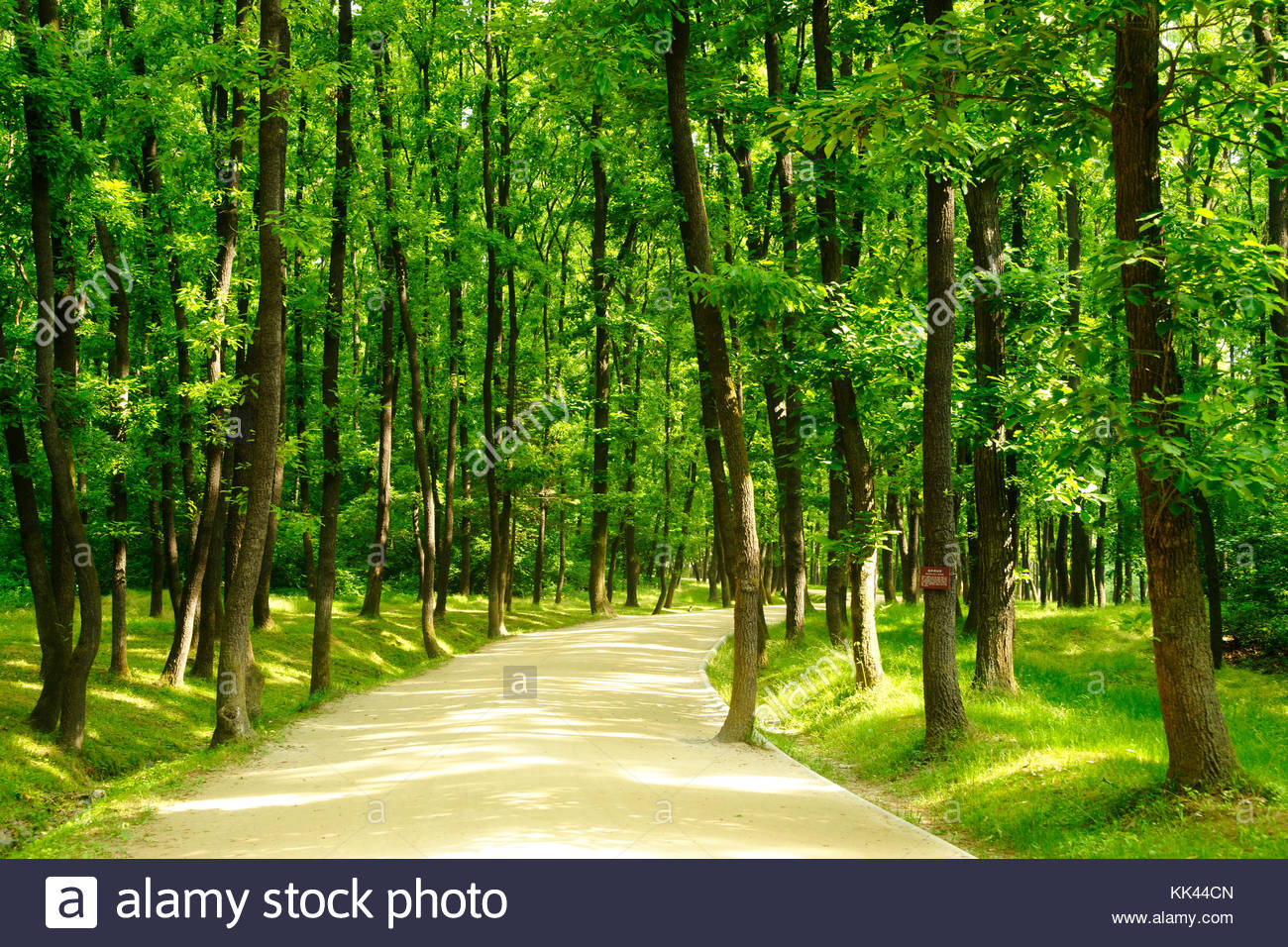 Korean Oak Stock Photos & Korean Oak Stock Images - Alamy