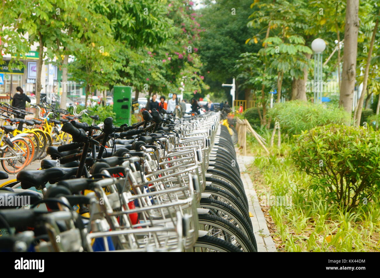 Public bike rental facilities and display of bicycle close-ups. In ...