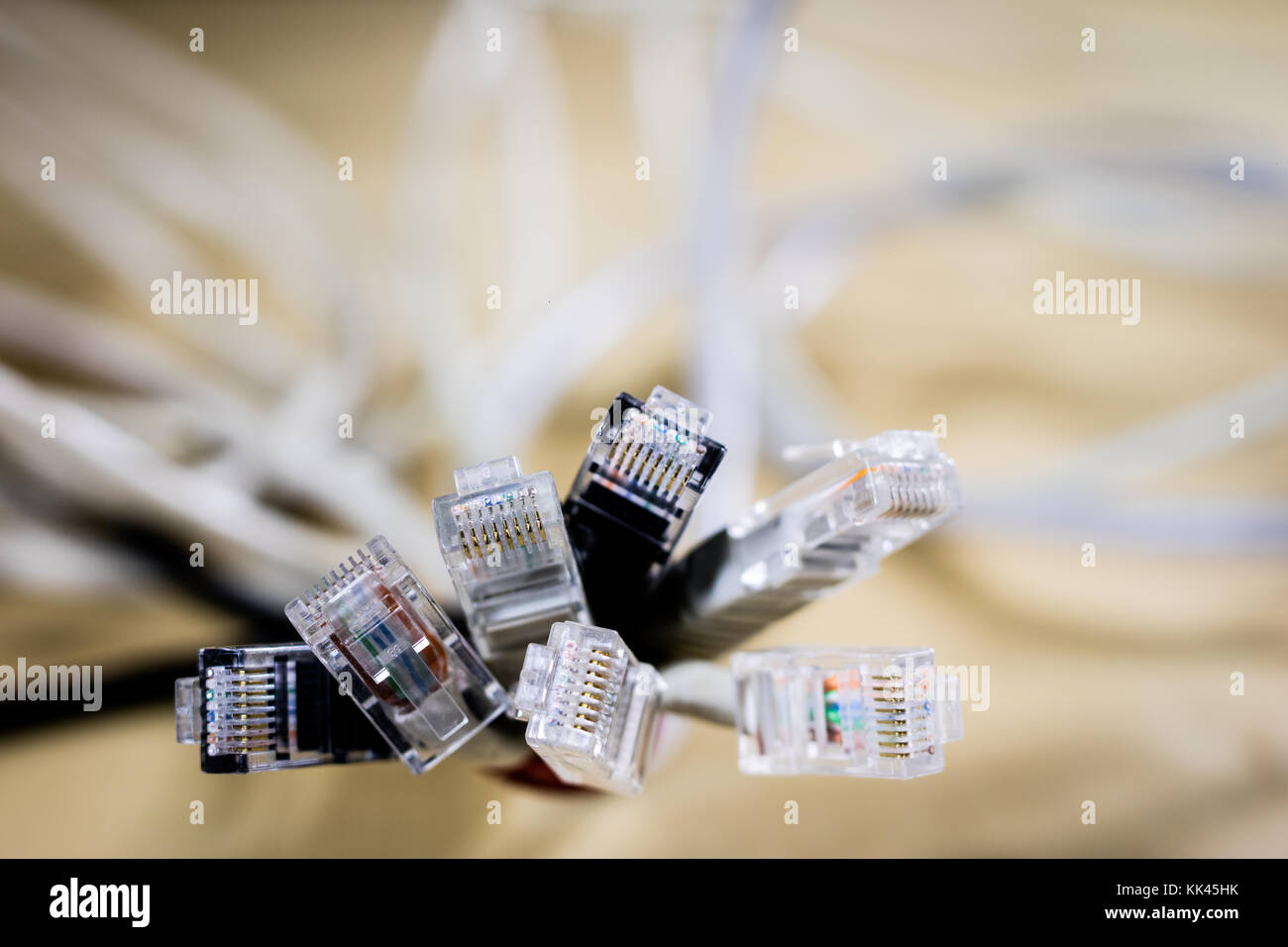 Rj45 cords on the stage. Computer accessories used in network ...