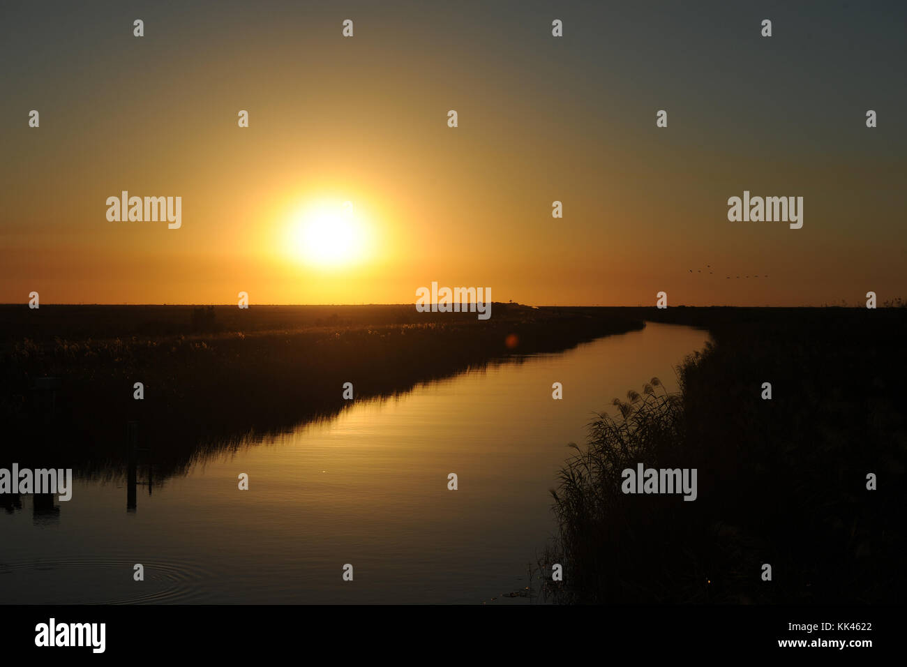 CORAL SPRINGS FL - OCTOBER 22: General view of Sunset at Everglades ...