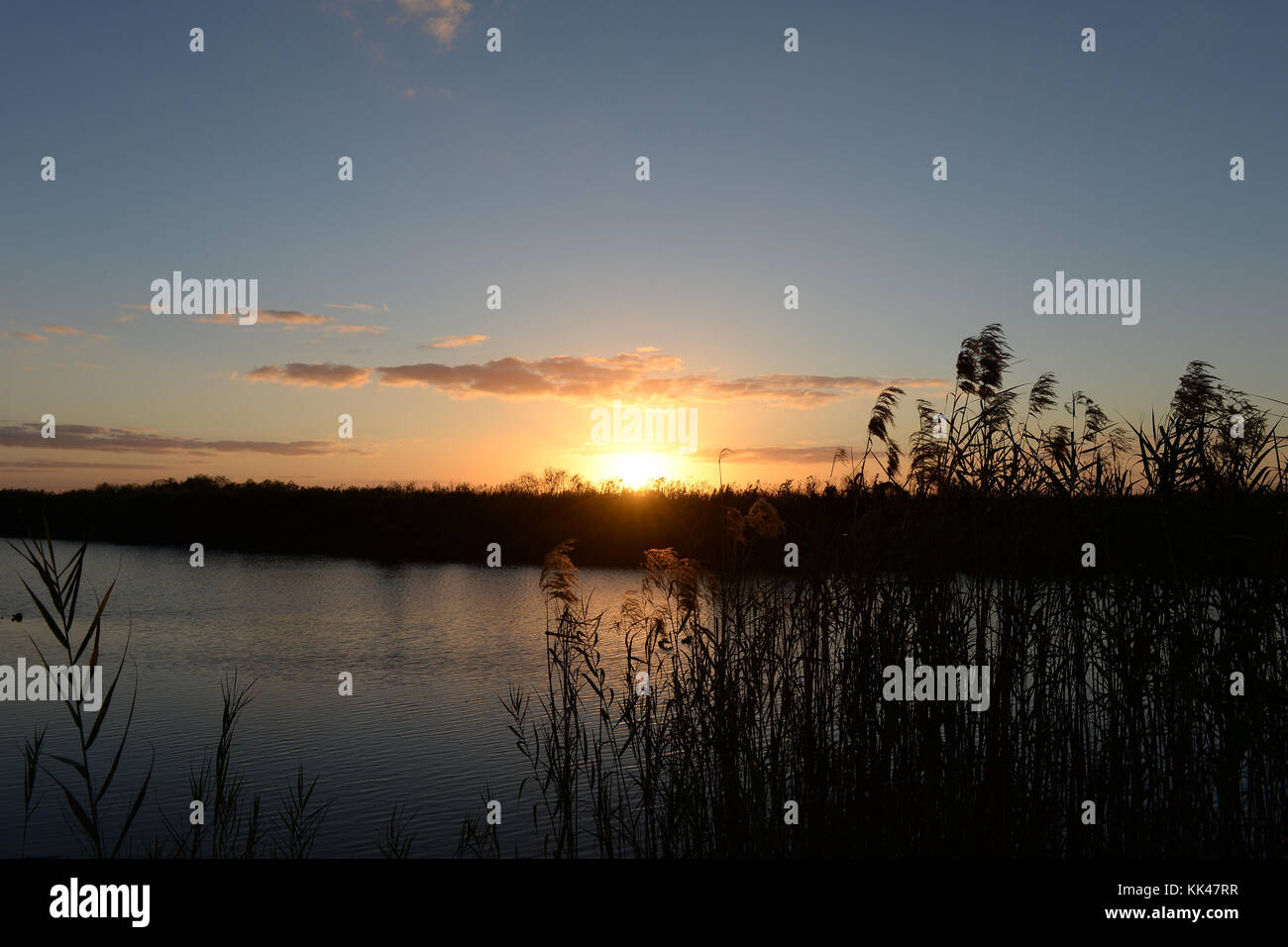CORAL SPRINGS, FL - DECEMBER 31: General view of the last Sunset of ...