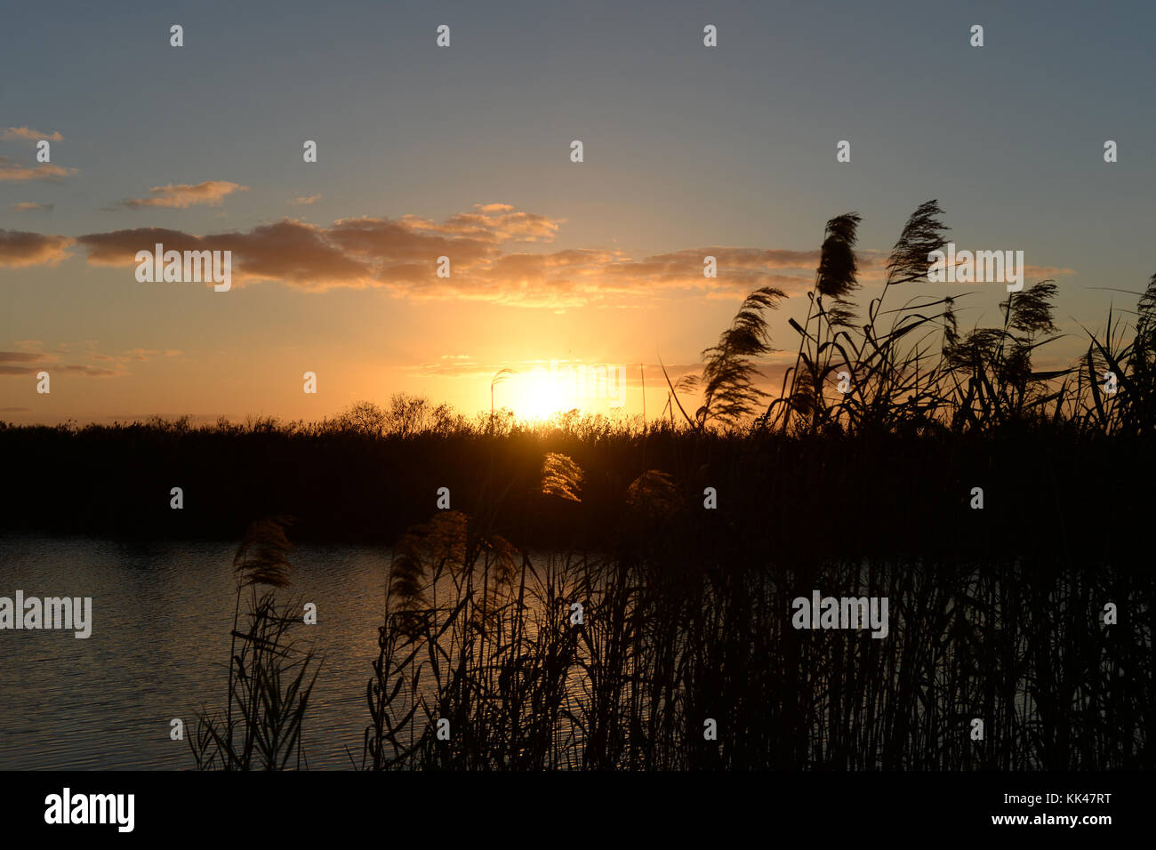 CORAL SPRINGS, FL - DECEMBER 31: General view of the last Sunset of ...