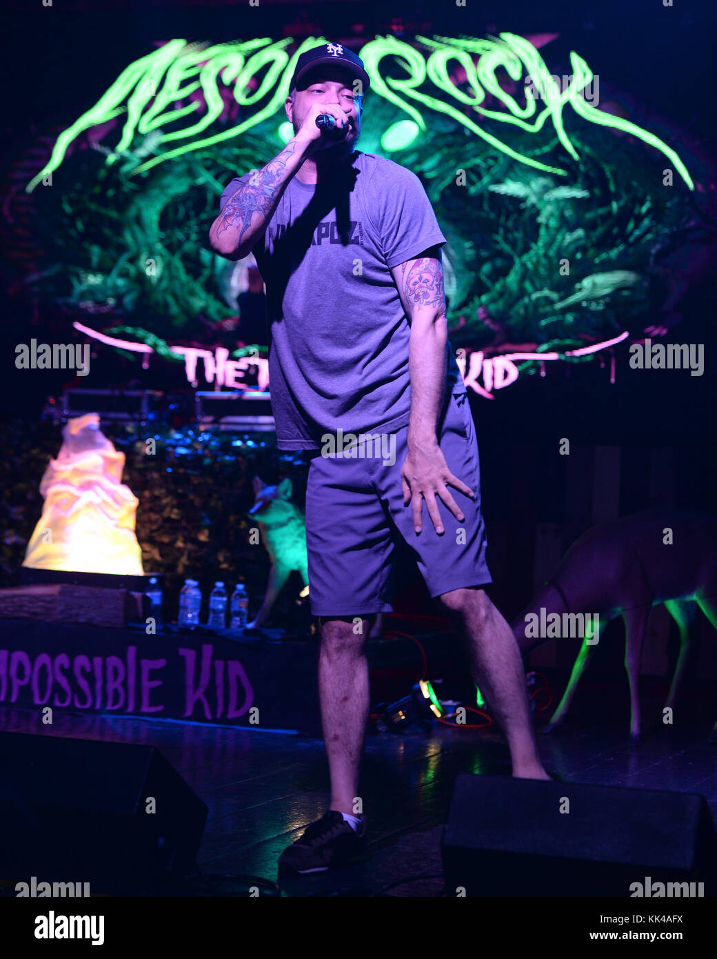 FORT LAUDERDALE, FL - JULY 06: Aesop Rock performs at Revolution on ...