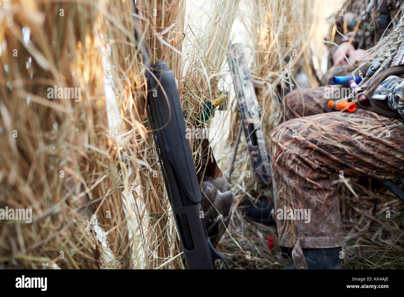 Hunters waiting inside a blind or hind made of brush and reeds on a ...