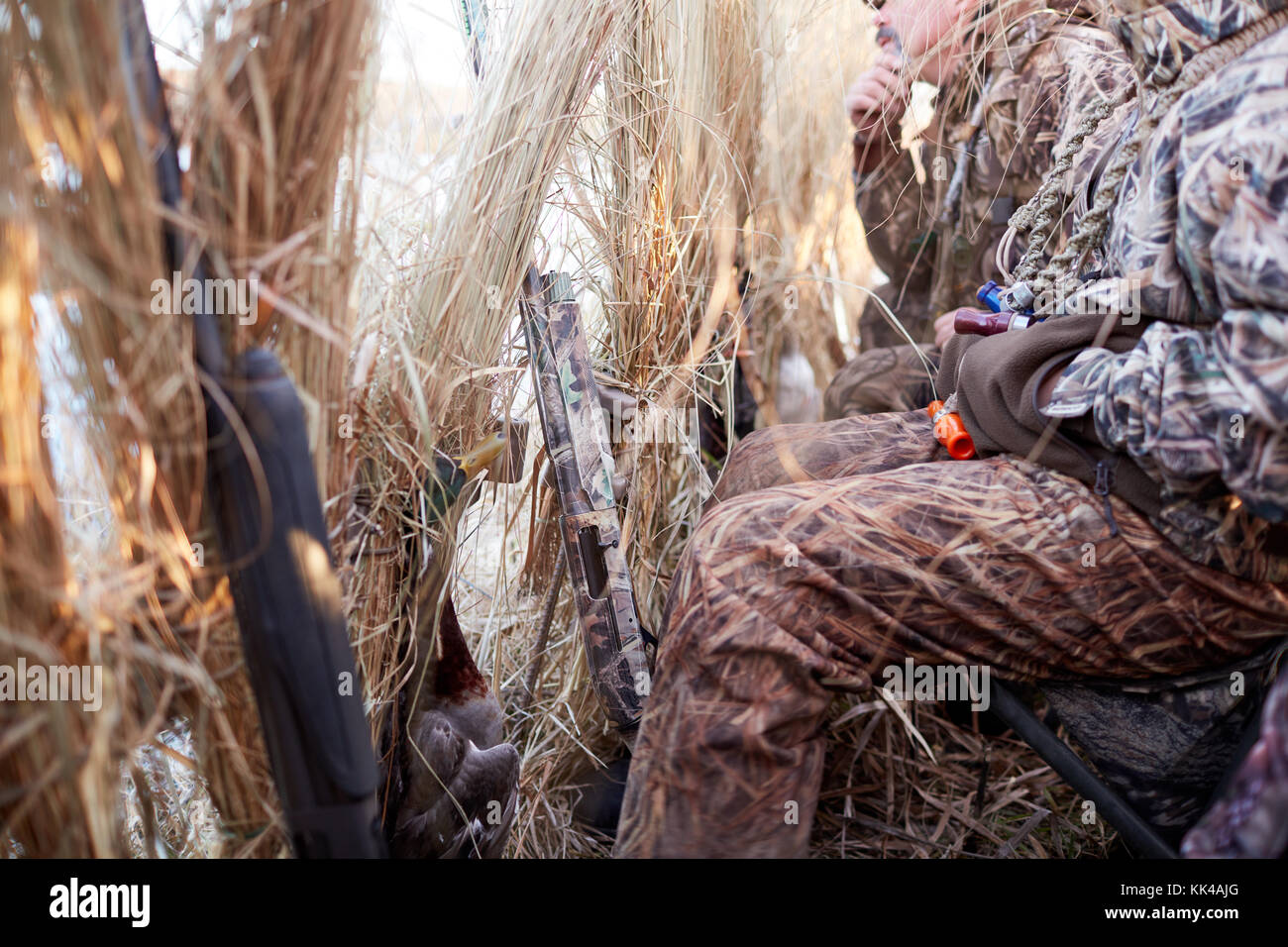 Hunters in camouflage sitting in a concealed hide or blind of dried ...