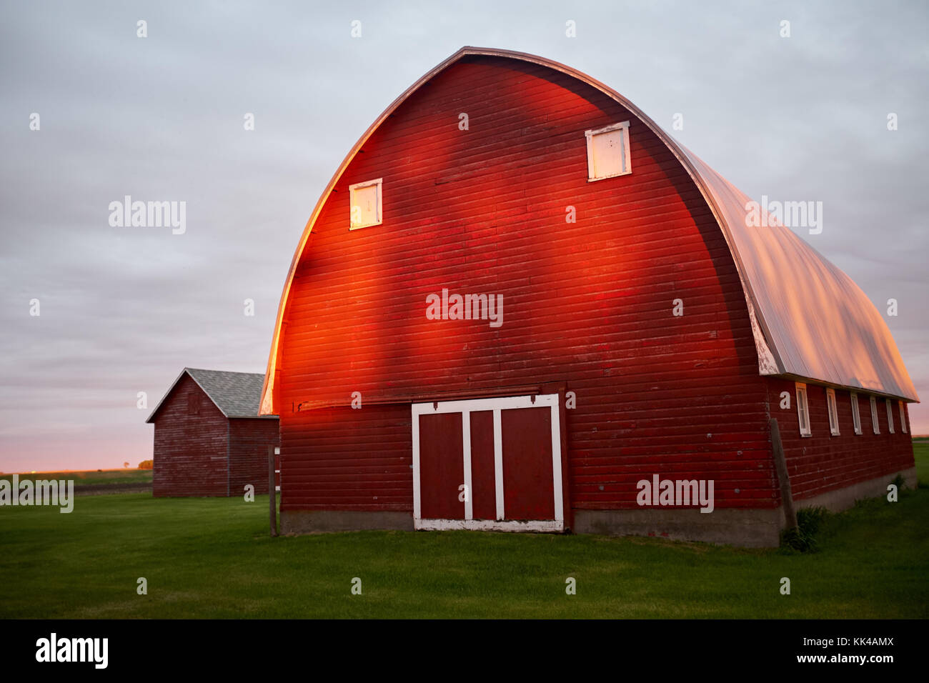 Bright red barn covered with dappled sunlight next to grey roofed ...