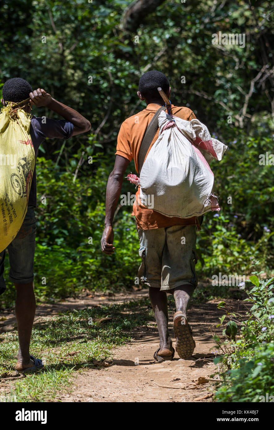 Two Malagasy men travel on road with heavy bags. Madagascar, Africa ...