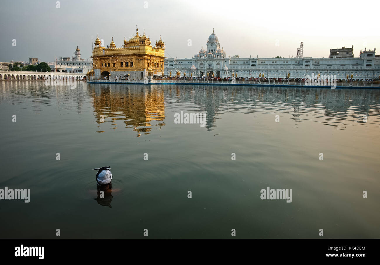 The sacred lake of Amritsar Golden Temple. - 01/09/2010 - - The sacred ...