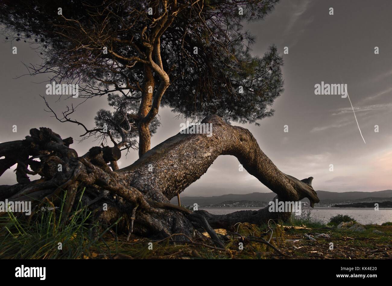 LERINS islands; SAINT-HONORAT island. French Riviera. - 07/05/2011 ...