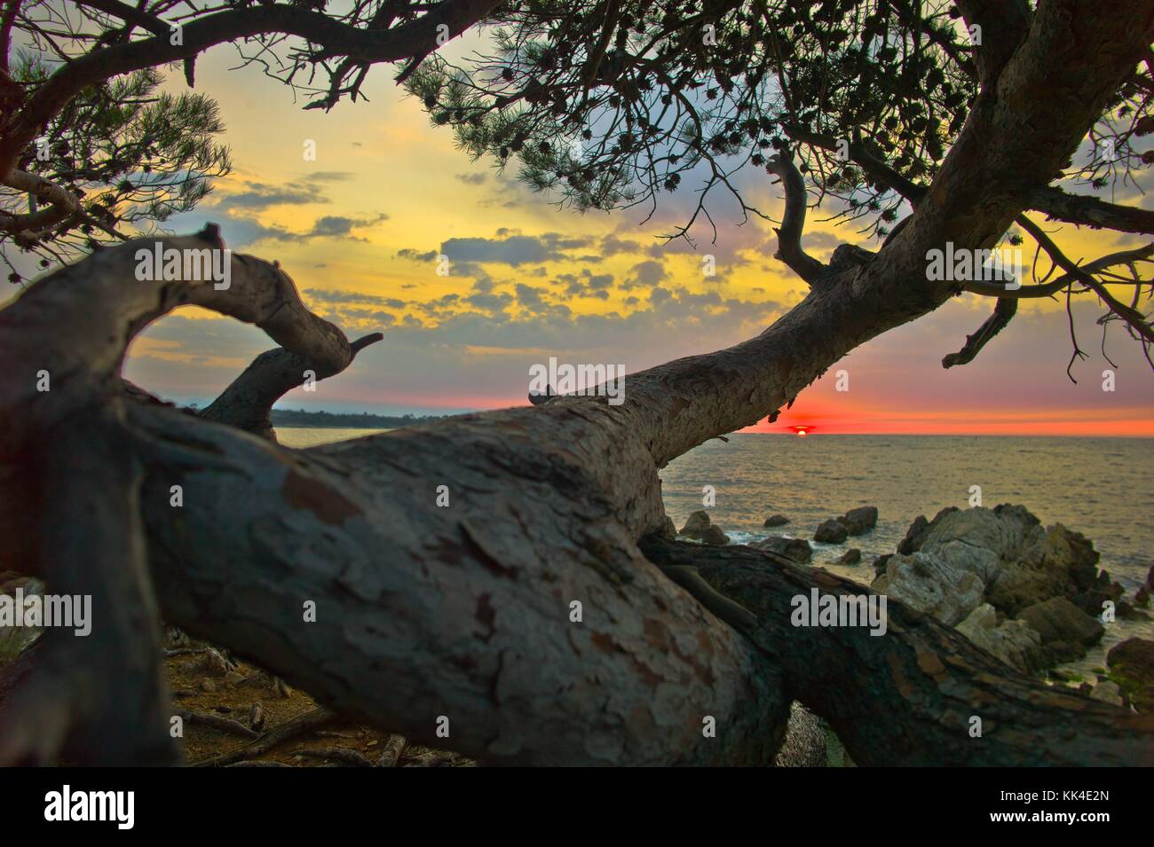 The Abbey of LERINS. SAINT-HONORAT island. LERINS islands. French ...