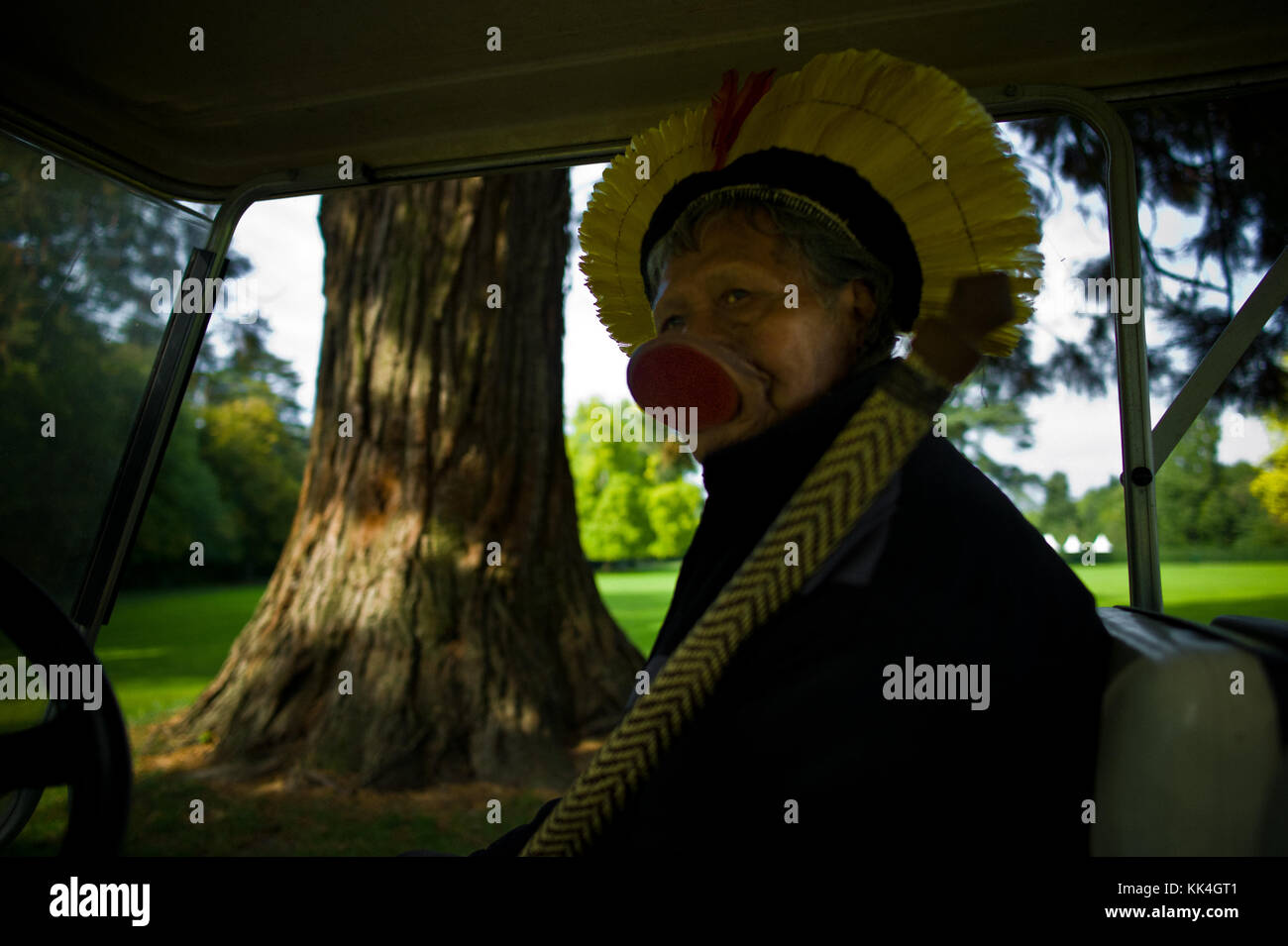 Chief sequoyah tree hi-res stock photography and images - Alamy