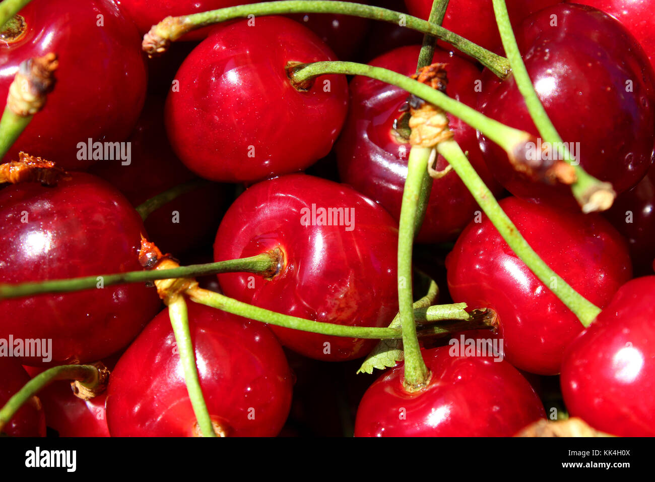 Cherry sweet red fresh fruit texture as background Stock Photo - Alamy