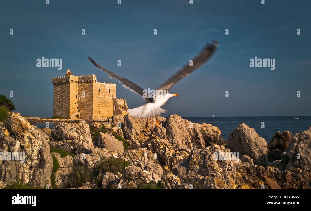 The Abbey of LERINS. SAINT-HONORAT island. LERINS islands. French ...