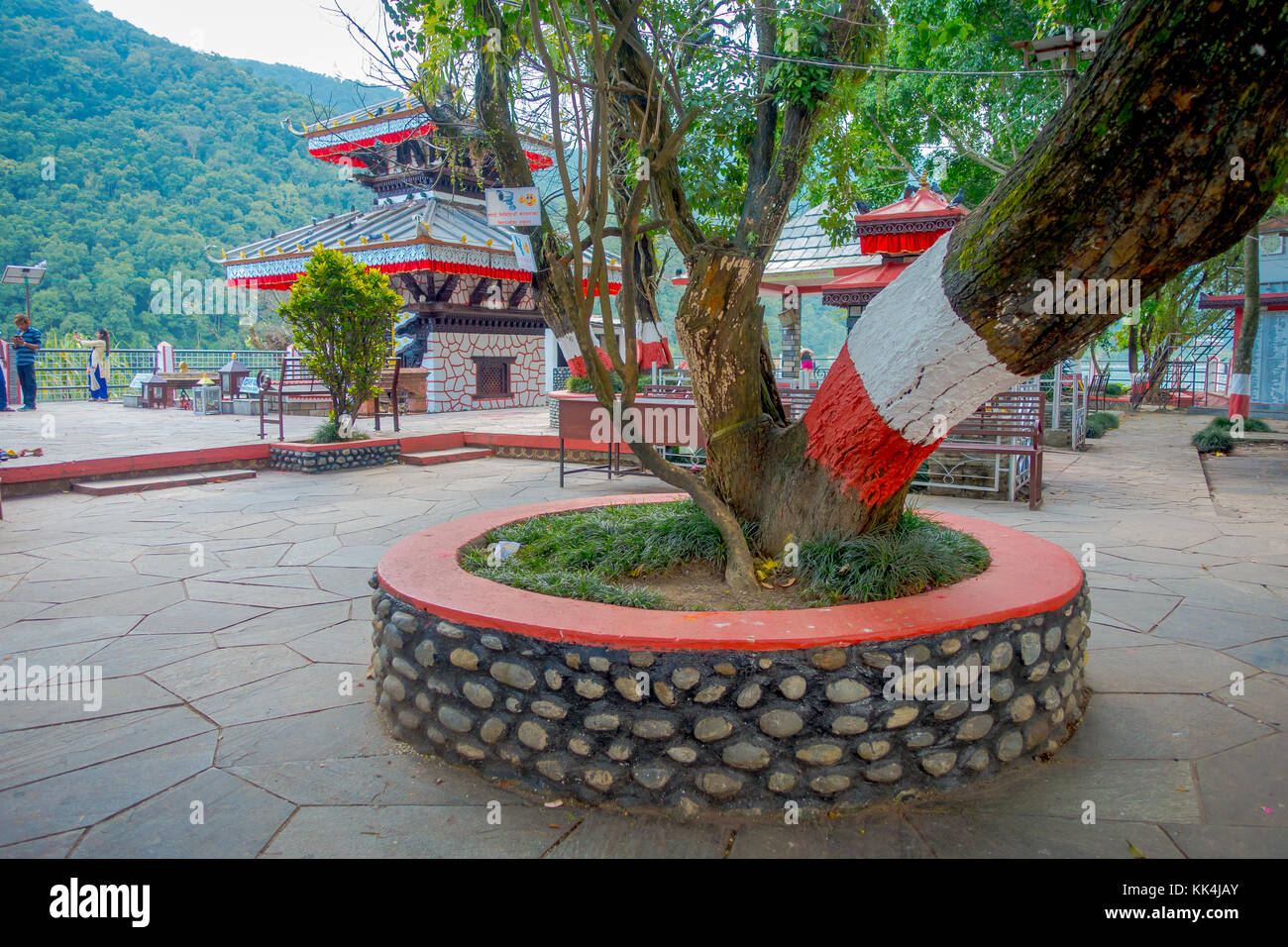 POKHARA, NEPAL - SEPTEMBER 04, 2017: Public jarden with a huge tree ...